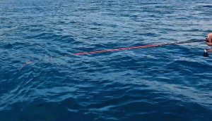 新作アルファソニックマルイカGZ その全てを大公開。 | alphatackle