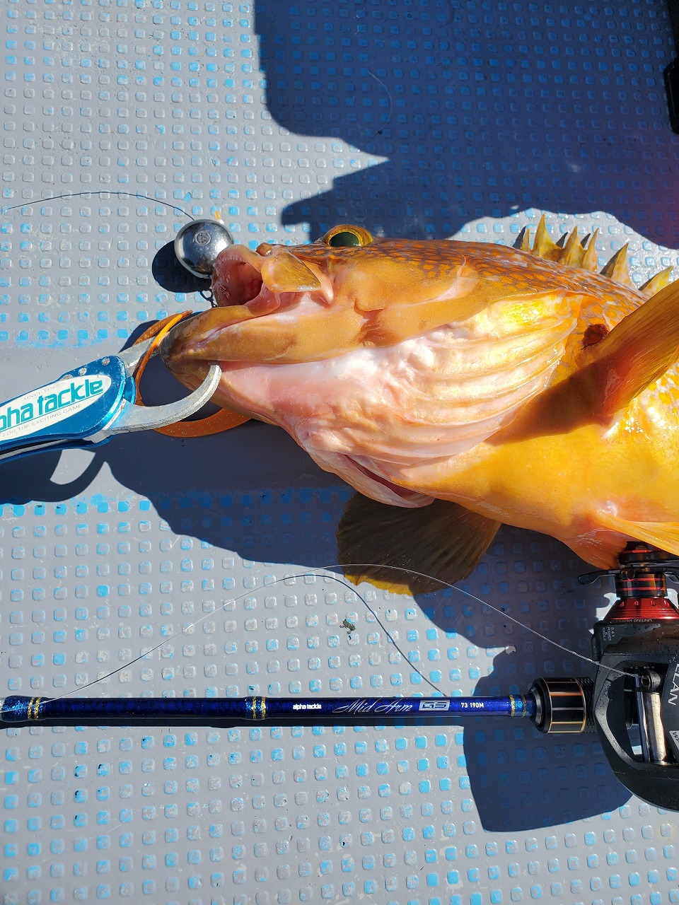 御前崎タイラバ with MIDARM-GS | alphatackle